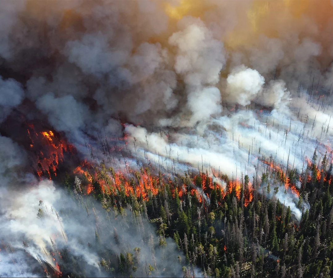 Wildfire Smoke Regulations/Wildfire Smoke Monitor