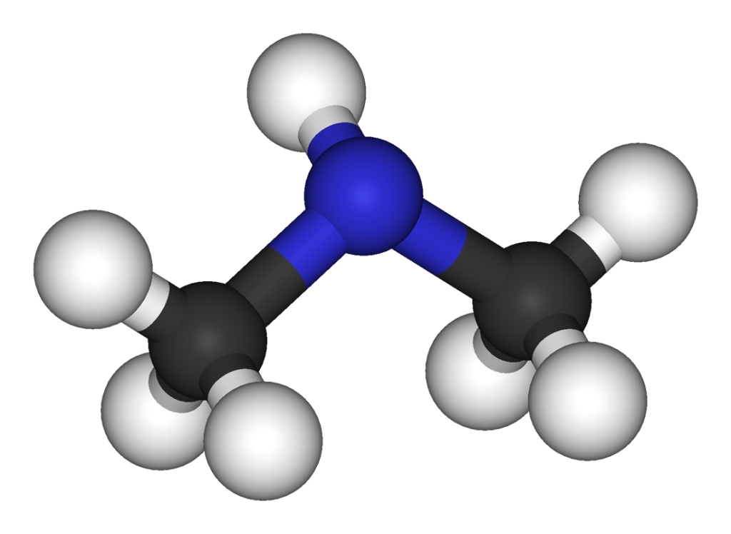 Dimethylamine: A Hazardous Yet Versatile Compound