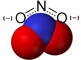 Navigating Nitrite: Understanding the Risks and Regulations