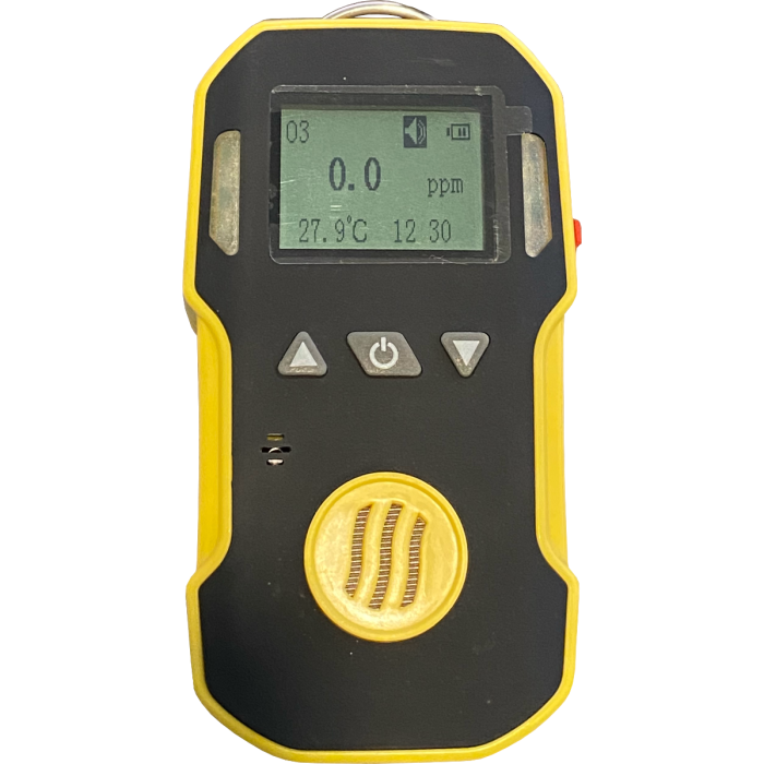 BH-90A Portable Gas Detector: Reliable, Durable, and Built for ...